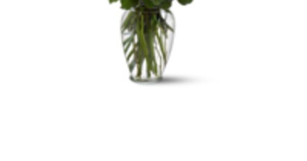 Warnell Davis Obituary in Affordable Funeral Home at | Obit