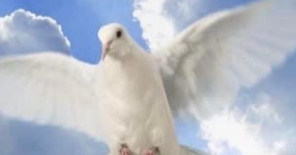 Tami Lynn Hansen Obituary in Fitzgerald at Prestige Family Mortuary | Obit