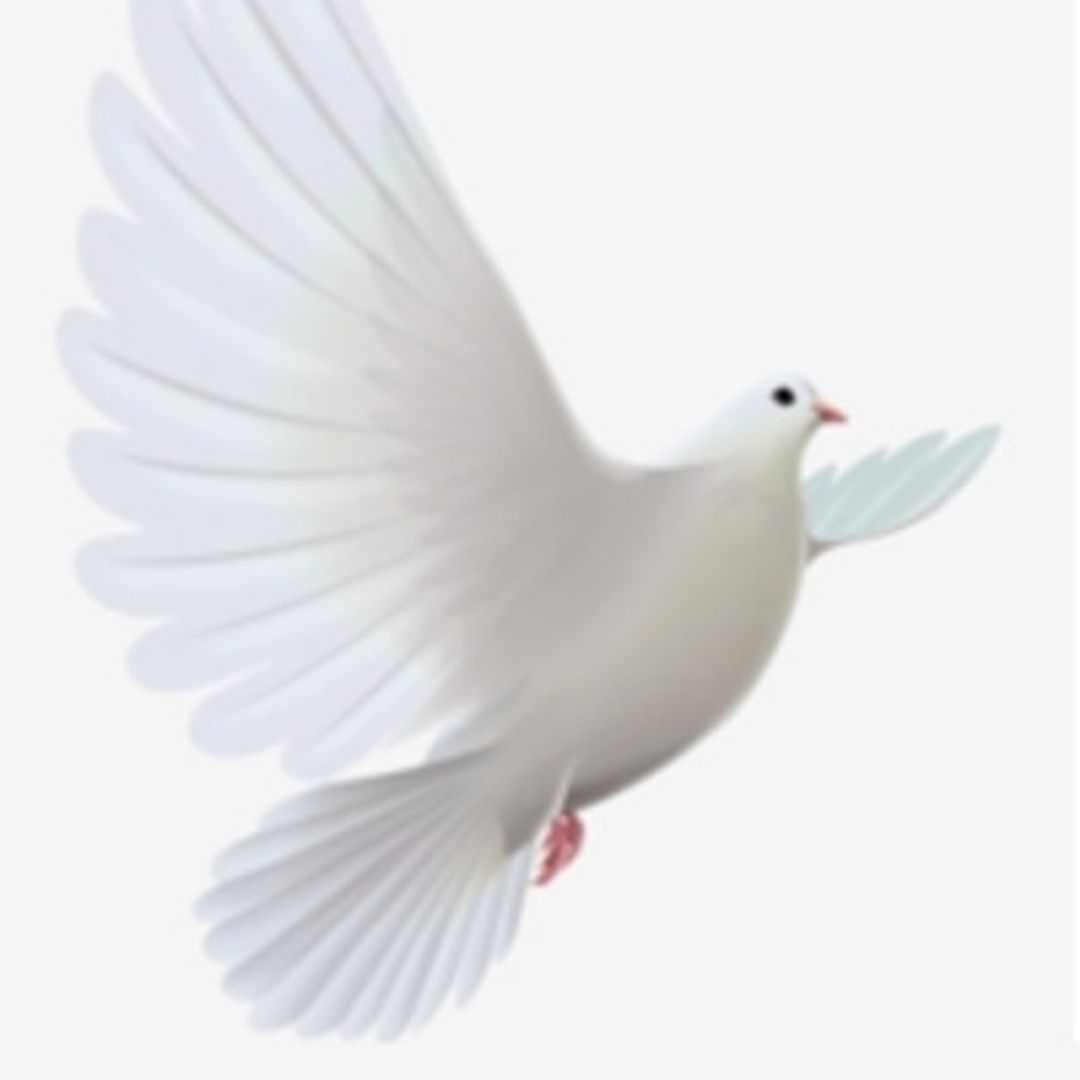 Barbara Jean Jackson Obituary in Marianna at Vann Funeral Home | Obit