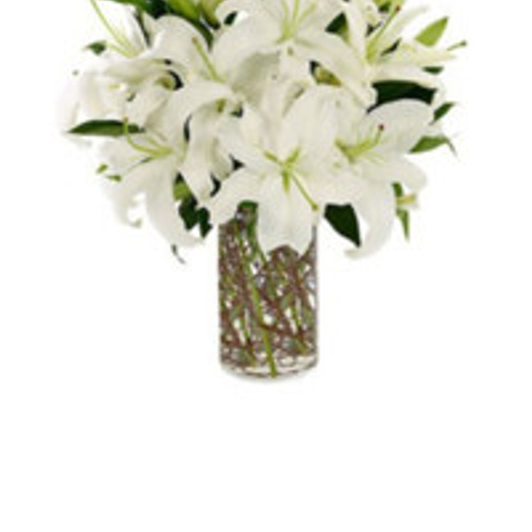 Connie Ann Loyd Obituary in Haines City at Faith Funeral Services | Obit