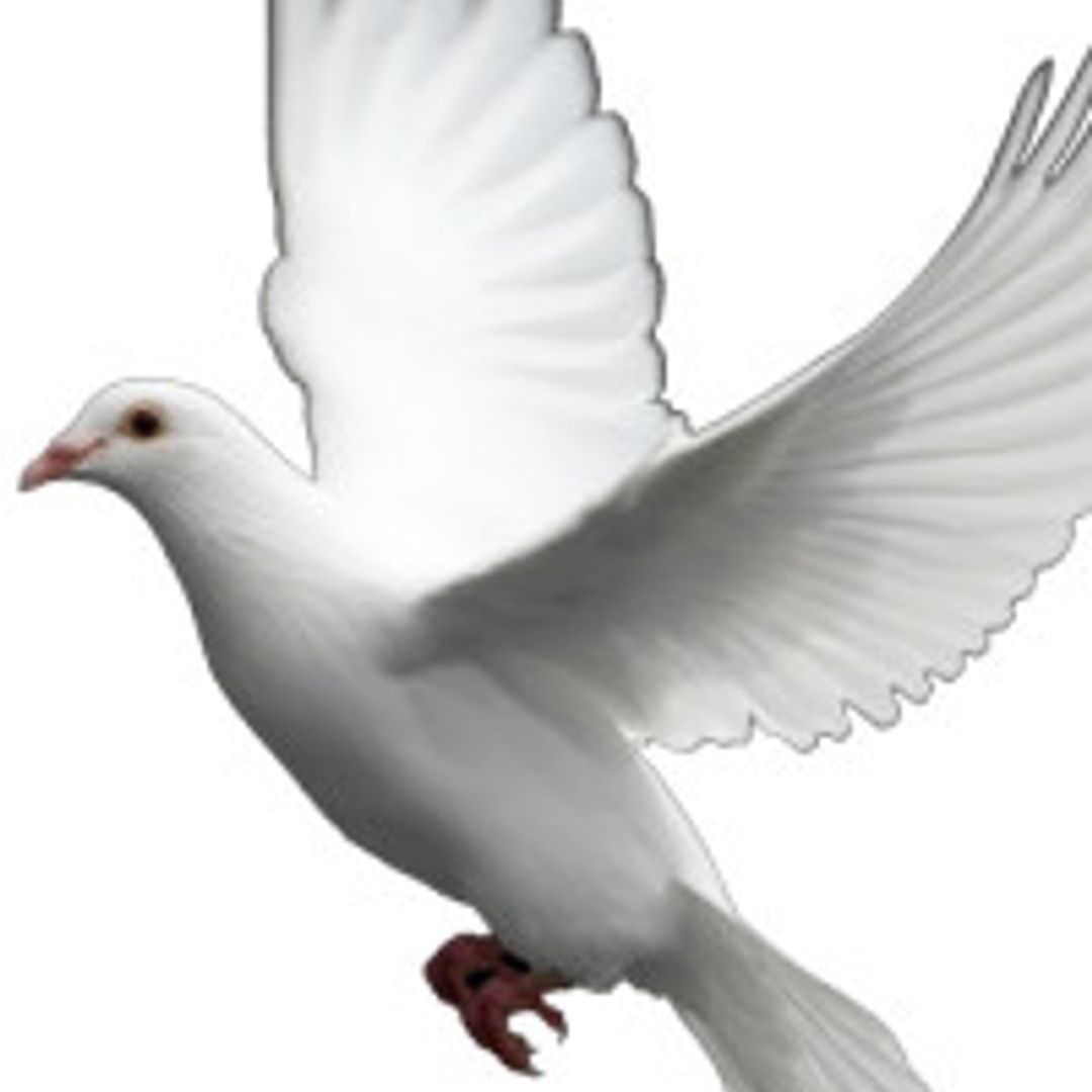 Mary L. Smith Obituary in Meridian at Berry and Gardner Funeral Homes | Obit