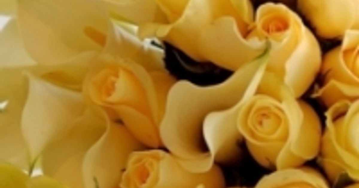 Mr. Leroy Bell, Sr. Obituary in Columbus at Progressive Funeral Home | Obit