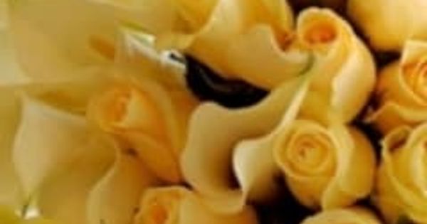 Christine (Chris) Callahan Obituary in Lafayette at Jeff Jones Funeral ...