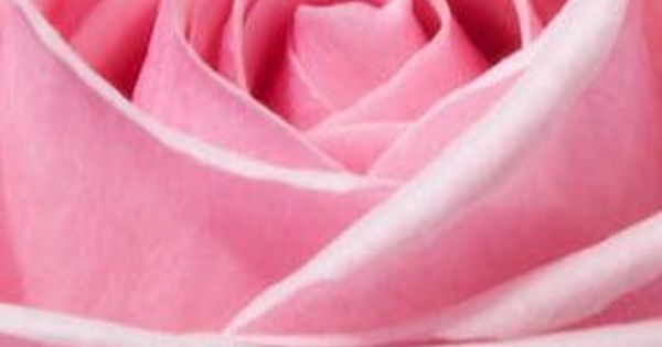 Deborah McDaniel Obituary in Pendergrass at Central Cremation Services ...