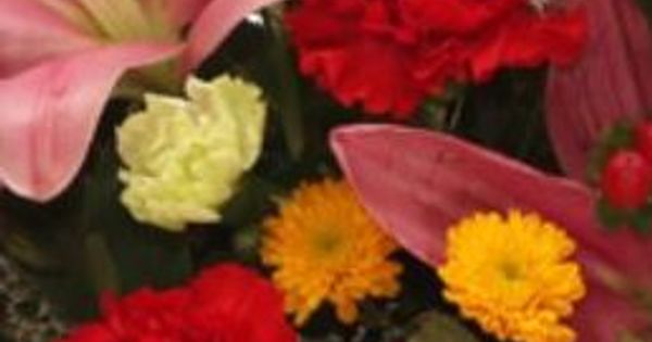 Shirley Lenore Johnson Obituary in Pendergrass at Central Cremation ...