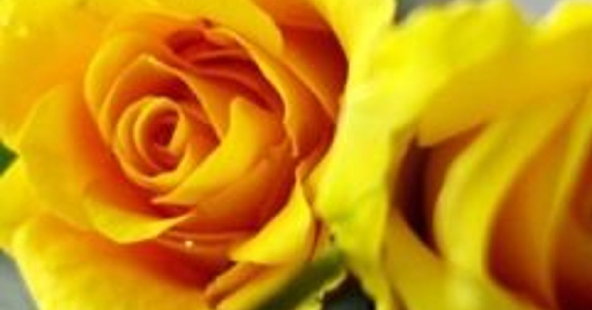 Richard Alan Barker Obituary in Pendergrass at Central Cremation ...
