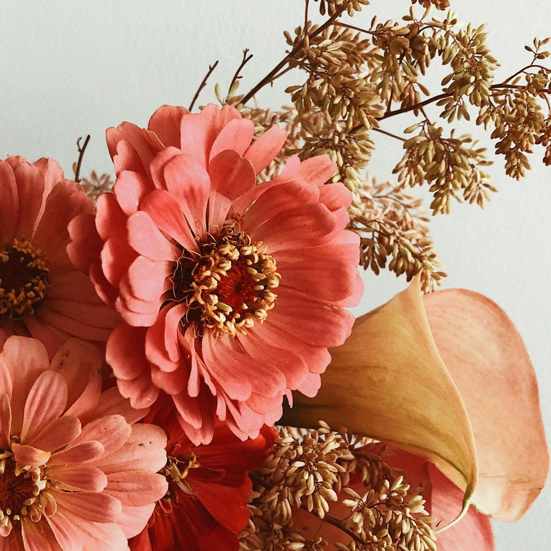 Nancy Lucille Martinez Obituary in Pendergrass at Central Cremation ...