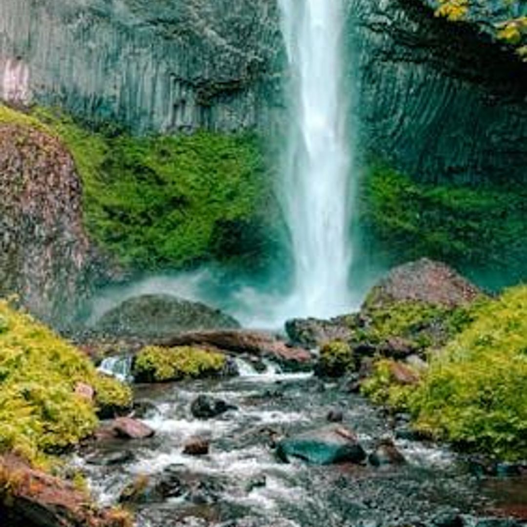 David Lee Talley Jr. Obituary in Pendergrass at Central Cremation ...