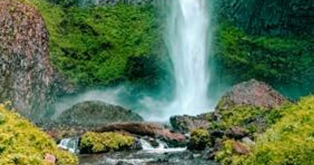 David Lee Talley Jr. Obituary in Pendergrass at Central Cremation ...