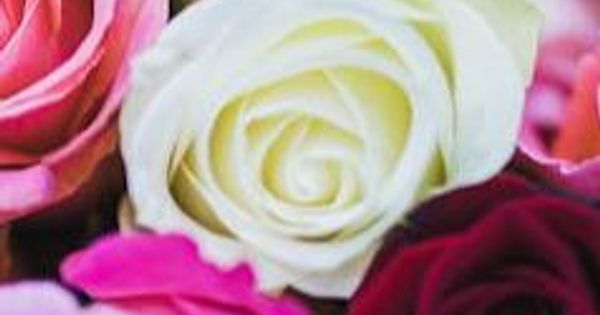 Brenda Jean Simmons Obituary in Pendergrass at Central Cremation ...