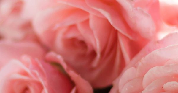 Sharon Denise House Obituary in Pendergrass at Central Cremation ...