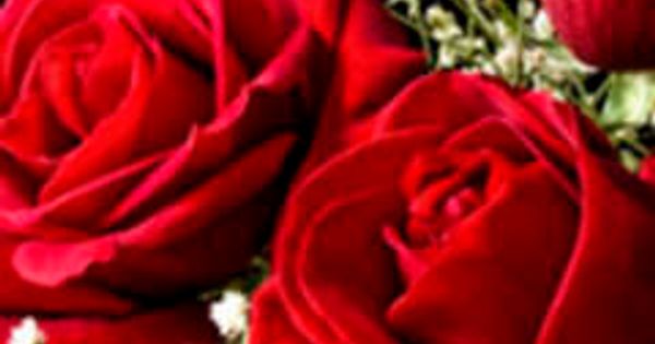 Sharon Joyce Guthrie Obituary in Pendergrass at Central Cremation ...