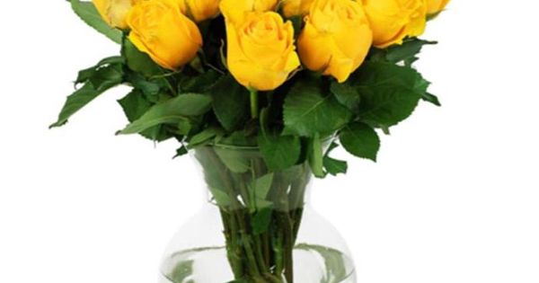 Regino Rodriguez Obituary in Dalton at Willis Funeral Home | Obit