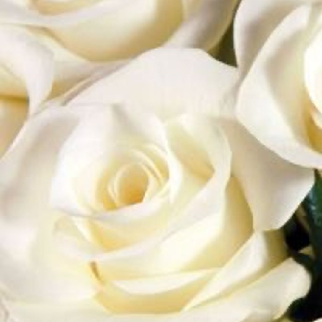 Samuel Holloway Obituary in Durham at Holloway Memorial Funeral Home ...