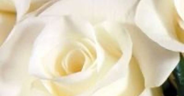 Samuel Holloway Obituary in Durham at Holloway Memorial Funeral Home ...
