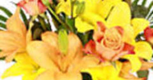 Johnnie Mae Davis Obituary in Jackson at Westhaven Memorial Funeral ...