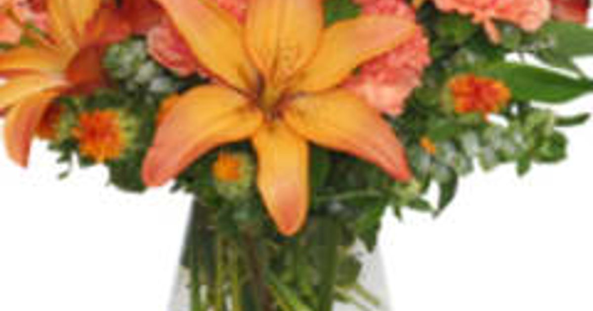 Essie Quinn Obituary in Jackson at Westhaven Memorial Funeral Home, Inc ...