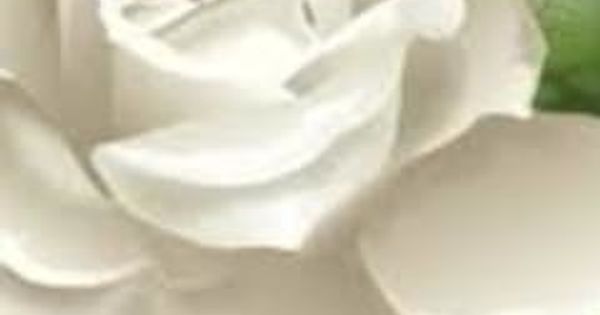 Mary Ann Hackett Obituary in Jackson at Westhaven Memorial Funeral Home ...
