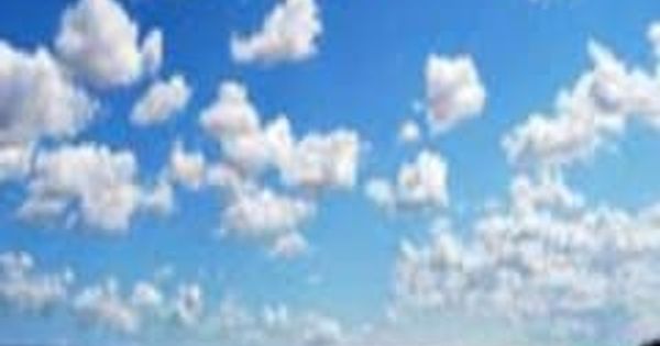 Paxton Wade Hale Obituary in Jackson at Westhaven Memorial Funeral Home ...