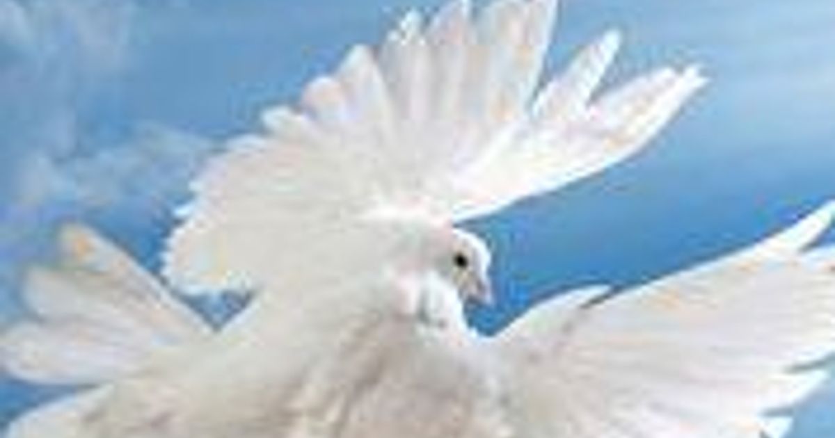 Christopher Williamson Obituary in Jackson at Westhaven Memorial ...