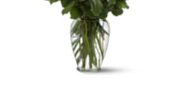 Willie Sankey Jr. Obituary in Montgomery at Ross-Clayton Funeral Home ...