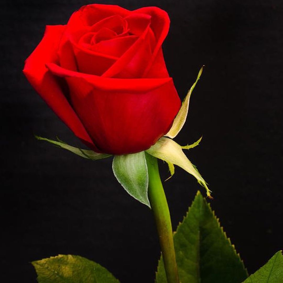 Mr. McArthur Howard III Obituary in Valdosta at Harrington Funeral Home ...