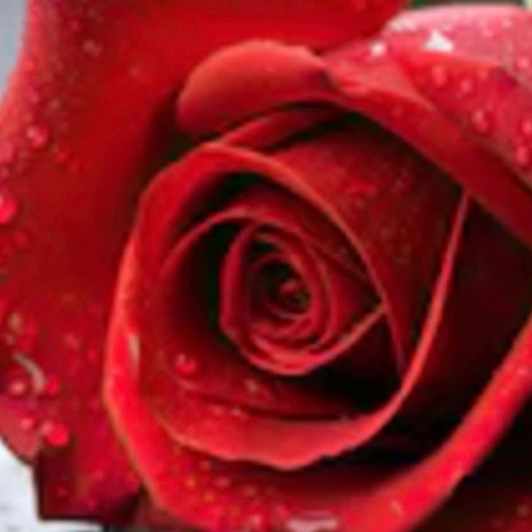 Mr. Larry J. Melton Obituary in Valdosta at Harrington Funeral Home ...