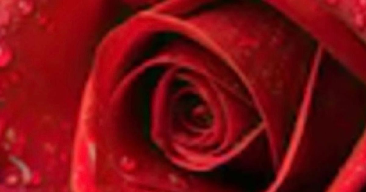 Mr. Larry J. Melton Obituary in Valdosta at Harrington Funeral Home ...