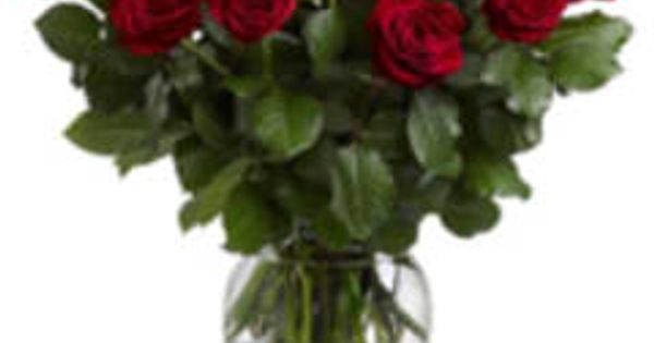 Angela Crook Obituary in Ripley at Thompsons Mortuary | Obit