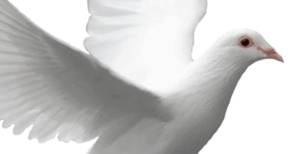 Mr. Isaac Harper III Obituary in St. Louis at Ronald L. Jones Funeral ...