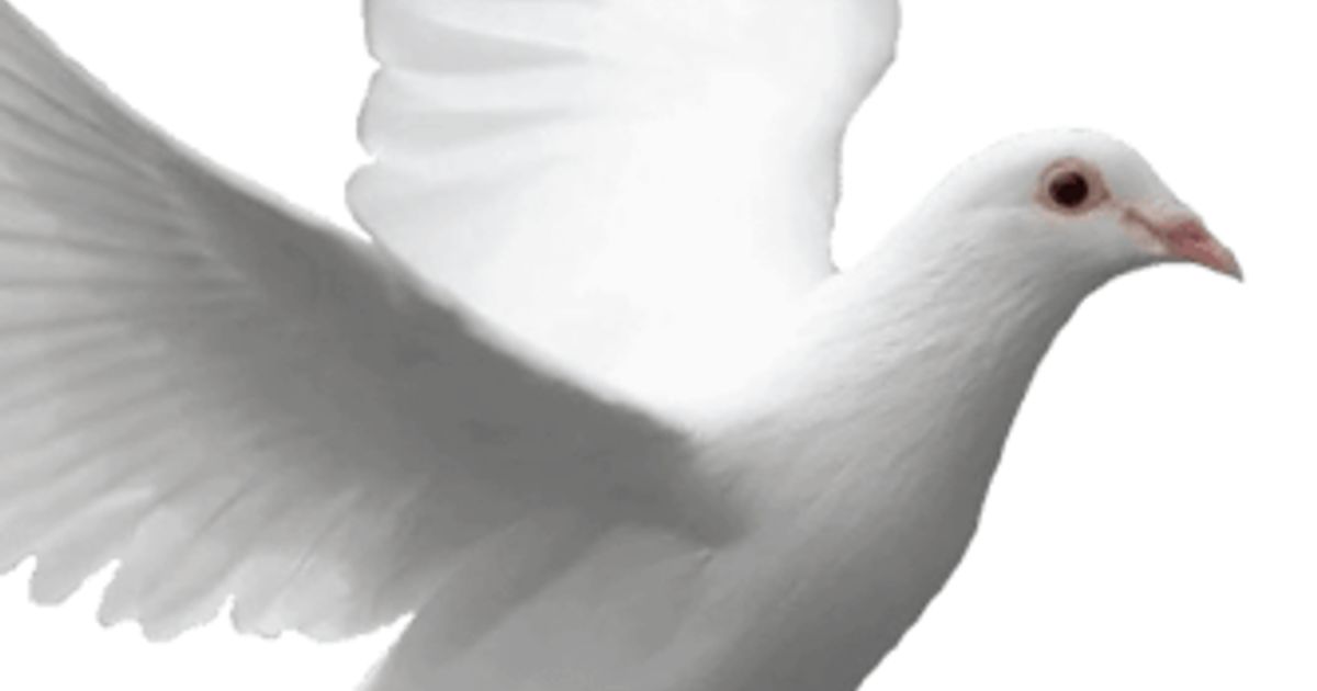 Mr. Lawrence McKinley Carr, Jr. "Lorenzo" Obituary in St. Louis at ...