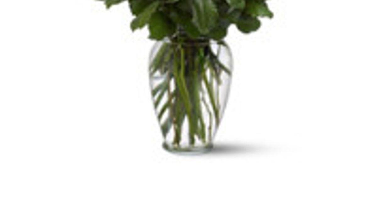 Geneva Victoria Bullard Obituary in Jacksonville at Q.L. Douglas ...