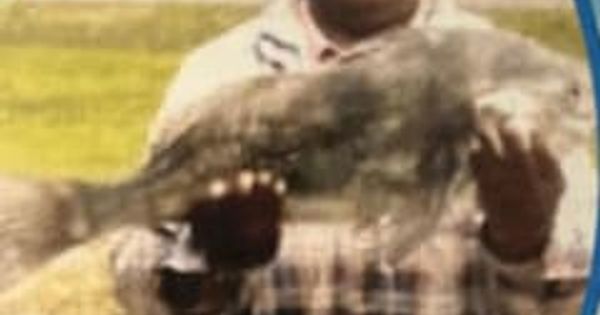 Willie Mae Verdell Obituary in Hastings at Coleman’s Mortuary | Obit