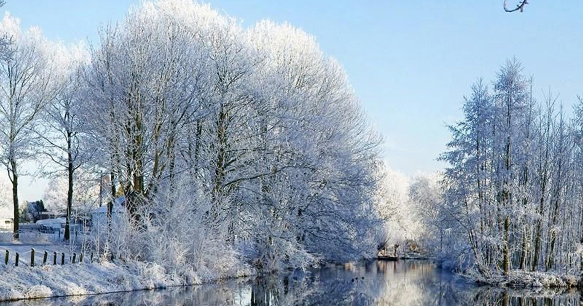 Tina Ann Matherly Obituary in Elizabethtown at Percell & Sons Funeral ...