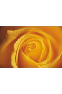 Mrs. Rosie Mae Ervin Obituary in Aliceville at Lavender's Funeral ...