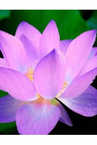 Janice Faye Barry Obituary in Pendergrass at Central Cremation Services ...