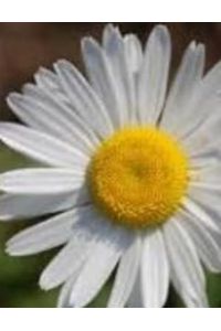 Gerald Wayne Offenhauer Obituary in Pendergrass at Central Cremation ...