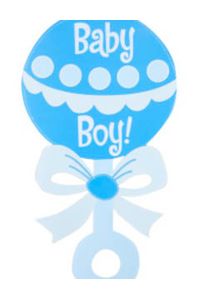 Braylen Williams Obituary in Lakeland at Coney Funeral Home | Lakeland, FL