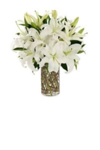 Sonya Lofton Obituary in Atlanta at Hines Home of Funerals, Inc ...