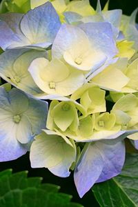 Joe Spraggins Obituary in Lanett at Valley-Point Funeral Home ...