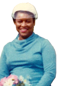 Annie Mae Smith Obituary in South Hill at Feggins Funeral Home | Obit