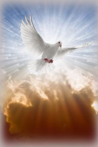 Ms. Yvette Renee Wheeler Obituary in Tyler at Community Funeral Home of ...