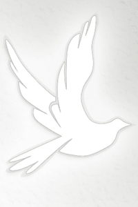 Wesley W. Foust Obituary in Geneva at Walker Funeral Home | Obit