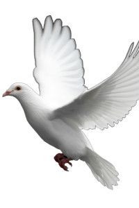 Ray Charles Brown Obituary in Meridian at Berry and Gardner Funeral ...