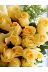 James B. Switzer Obituary in Grenada at Skeeter Robinson Funeral Home ...