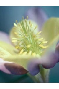 Wesley Hodo, Jr. Obituary in Columbus at Progressive Funeral Home | Obit