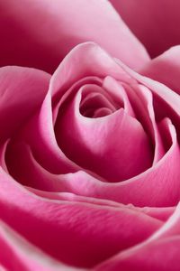 Barbara Gean Paul Obituary in Pendergrass at Central Cremation Services ...