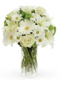 Terry Lynn Cusick Obituary in Mt. Pleasant at J.C. White Funeral ...