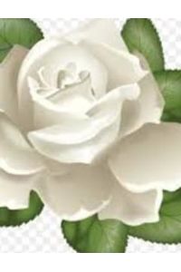 Mary Ann Hackett Obituary in Jackson at Westhaven Memorial Funeral Home ...