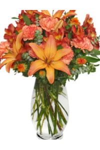 Pearlene Williams Obituary in Jackson at Westhaven Memorial Funeral ...